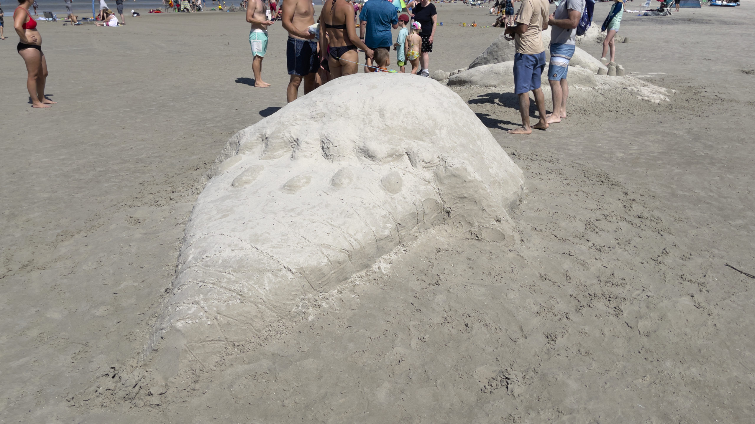 Sandcastle Contest – Grand Beach Sandcastles and More!